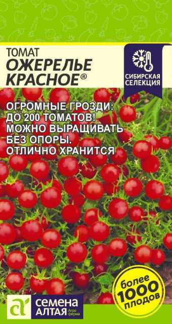 Помидоры Красным Красно Фото – Telegraph